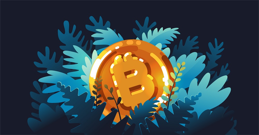 10 Interesting Facts about Bitcoin - Advanced Mining Blog 10 Interesting Facts about Bitcoin - Advanced Mining Blog